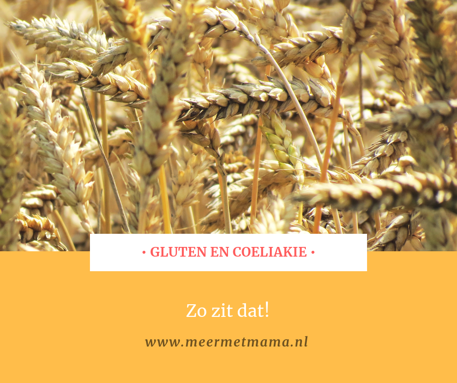 Gluten en Coeliakie, zo zit dat! - Meer Met Mama